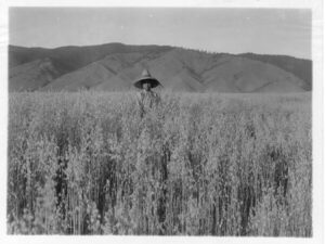 Life on the Flathead Indian Reservation - Politics, education, & more