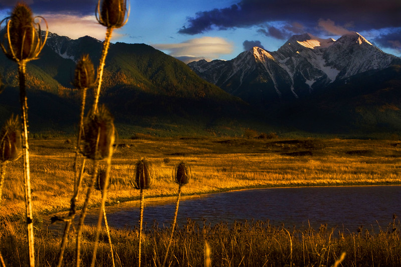 Life on the Flathead Indian Reservation - Politics, education, & more